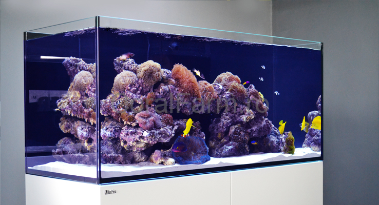 Acvariu Red Sea REEFER 300 Alb System G3